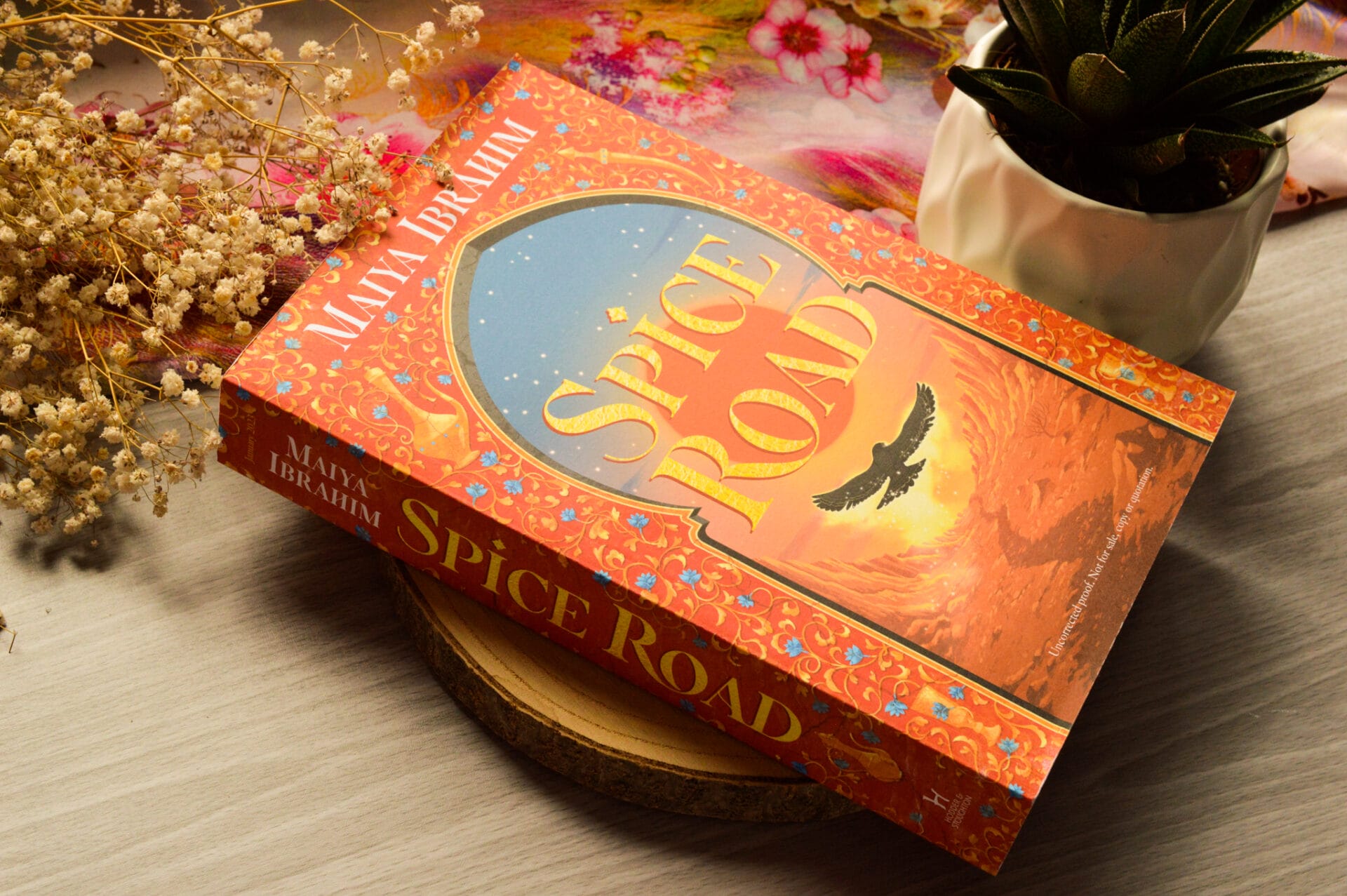 Book Review | Spice Road by Maiya Ibrahim Book Review | Spice Road by Maiya Ibrahim